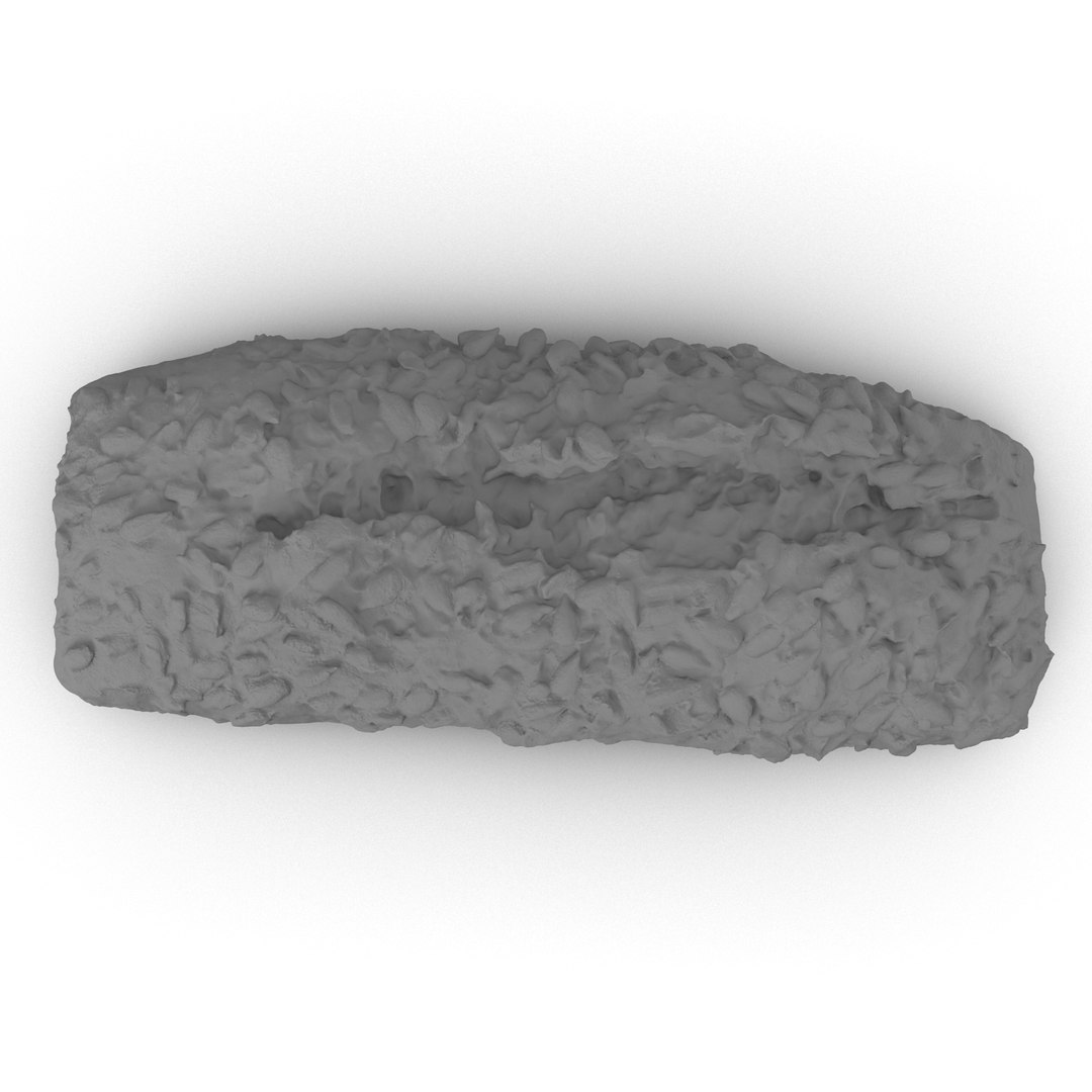 3d Seeded Bread Roll Model