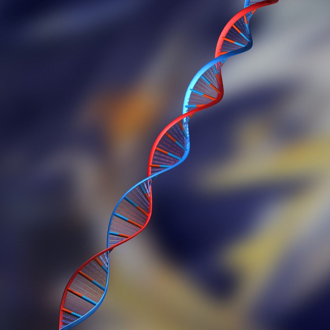 Dna Digits 3d Model
