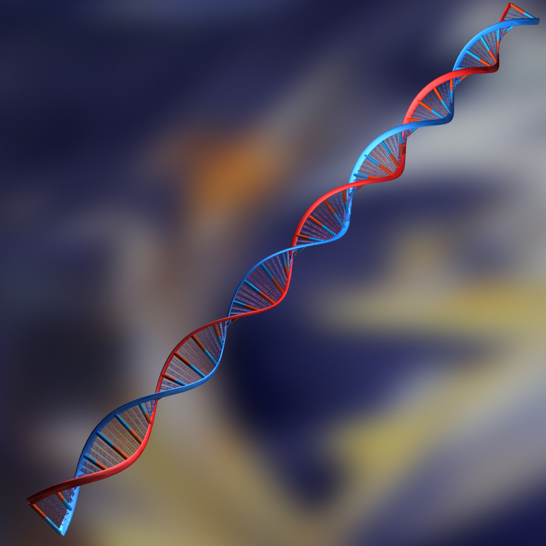 Dna Digits 3d Model