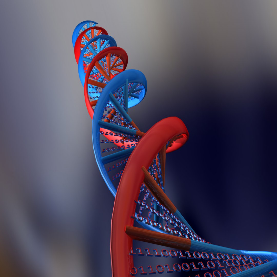 Dna Digits 3d Model