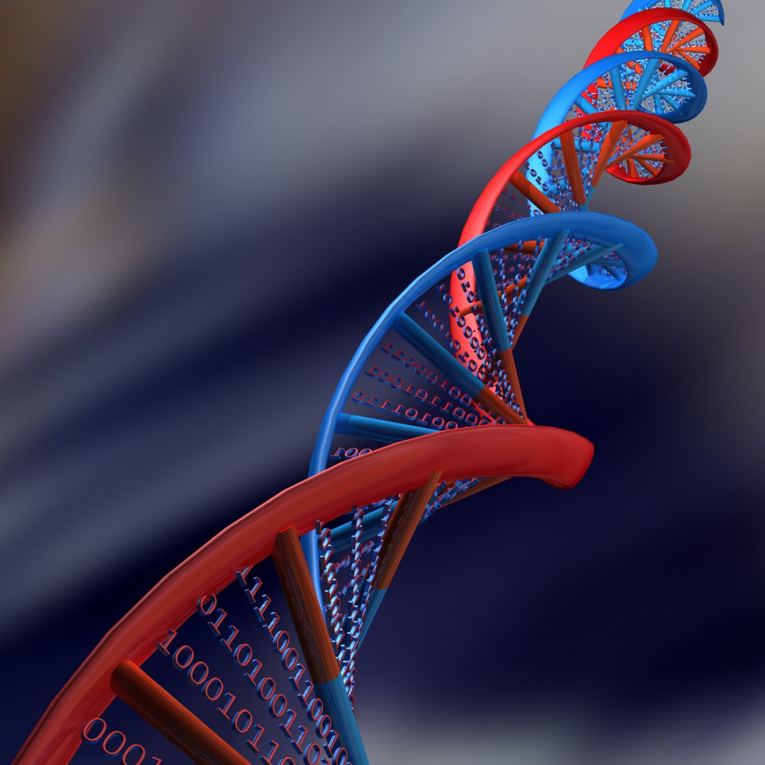 Dna Digits 3d Model