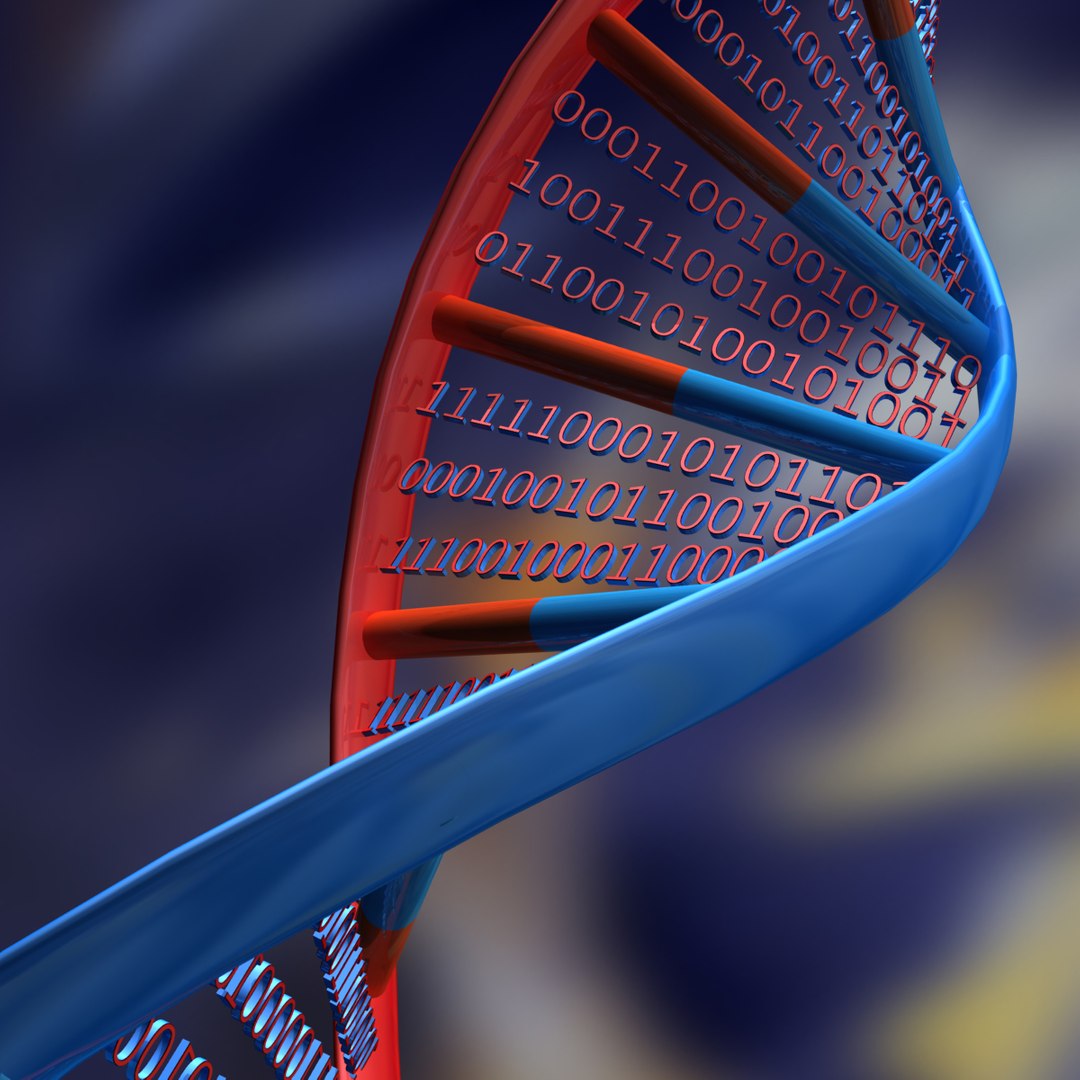 Dna Digits 3d Model