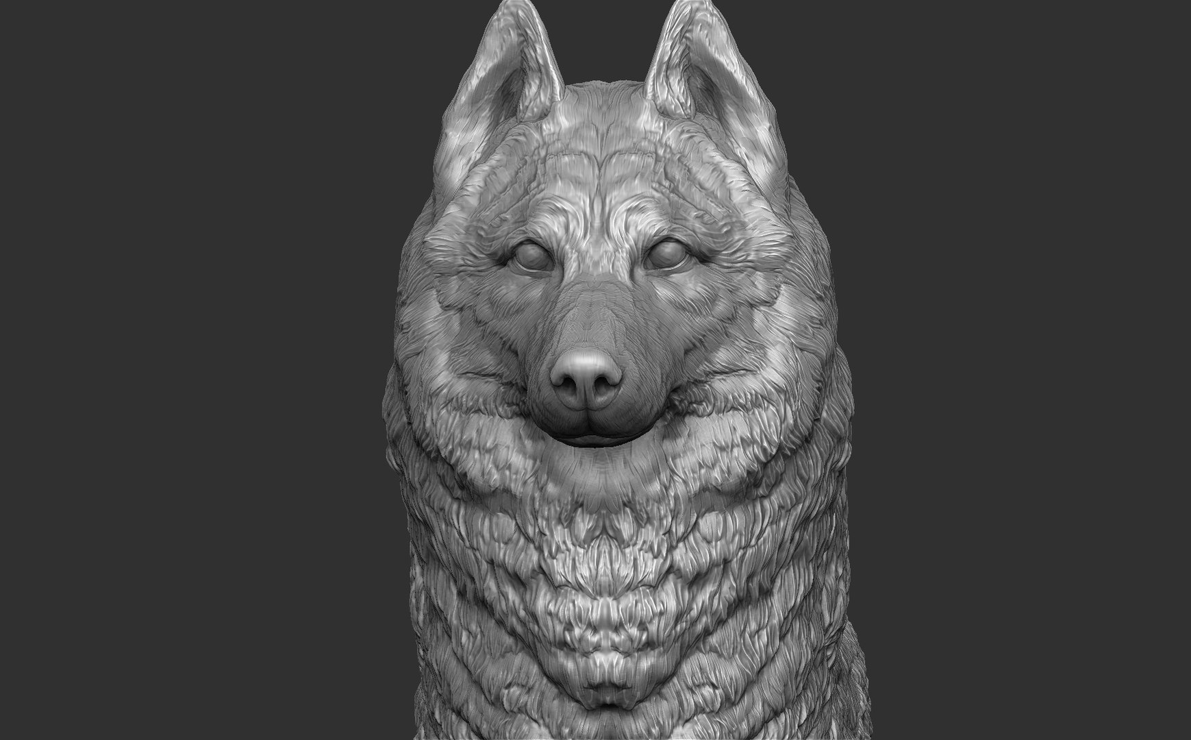 Husky Realistic 3D Model - TurboSquid 1290530