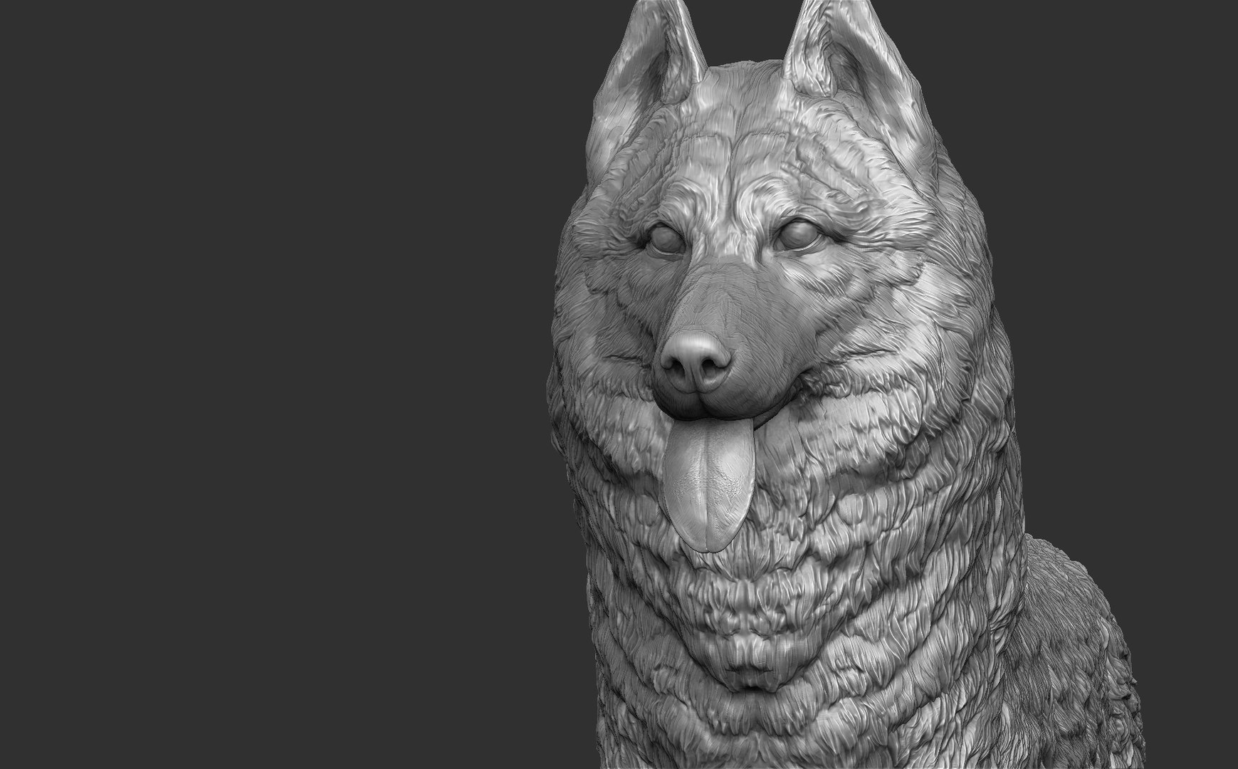 Husky Realistic 3D Model - TurboSquid 1290530