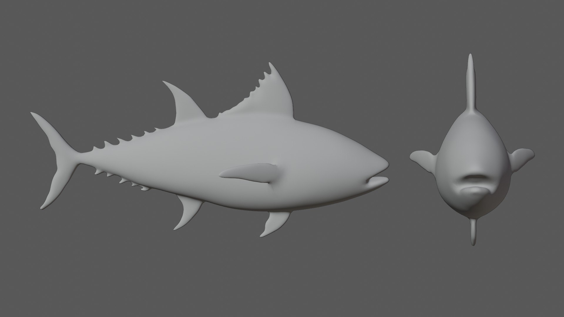 Tuna Fish 3D Model - TurboSquid 1774759