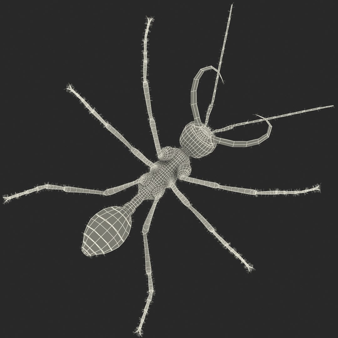 3dsmax Army Ant Fur