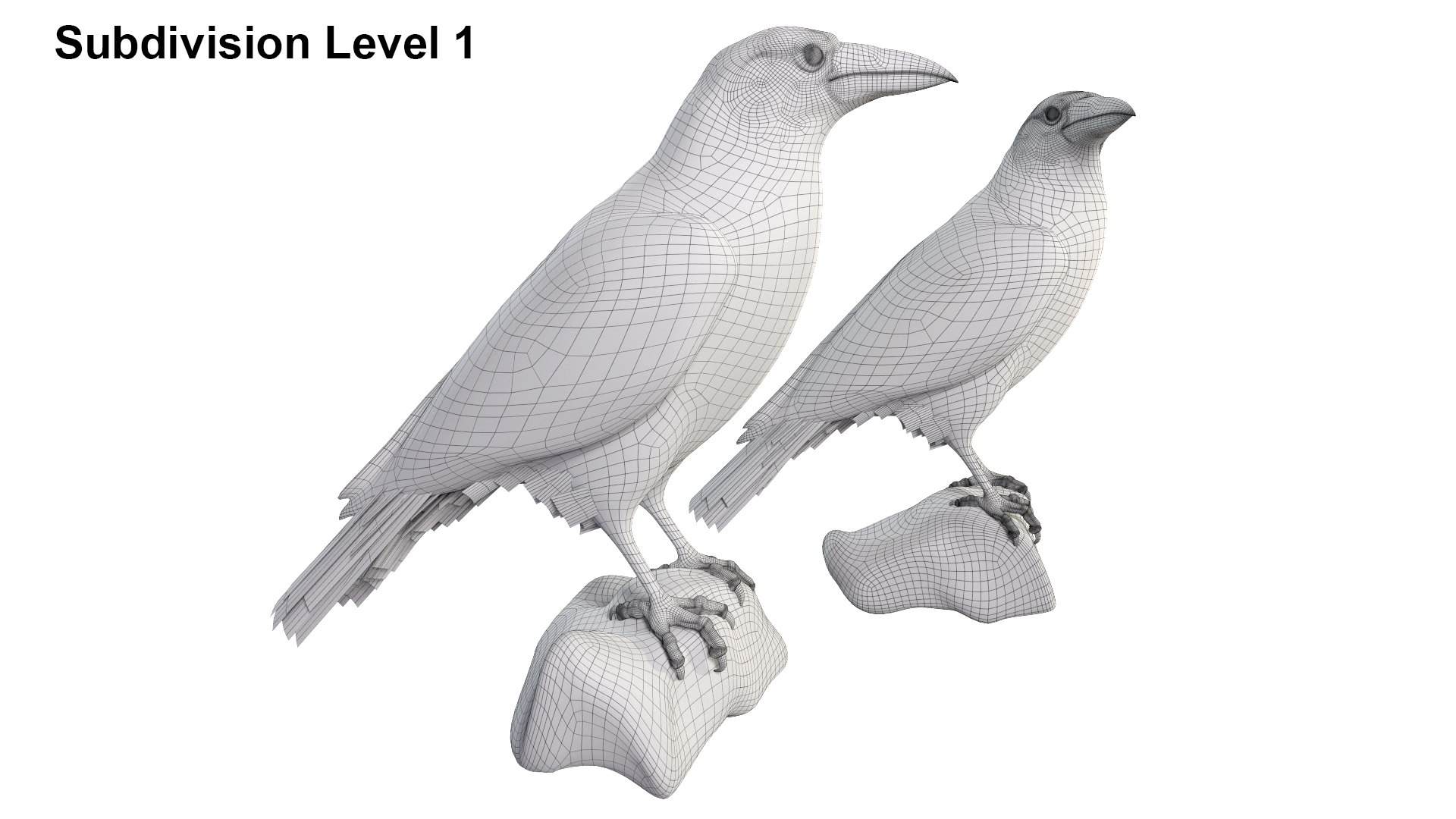 Raven Collection 3D model - TurboSquid 1834421