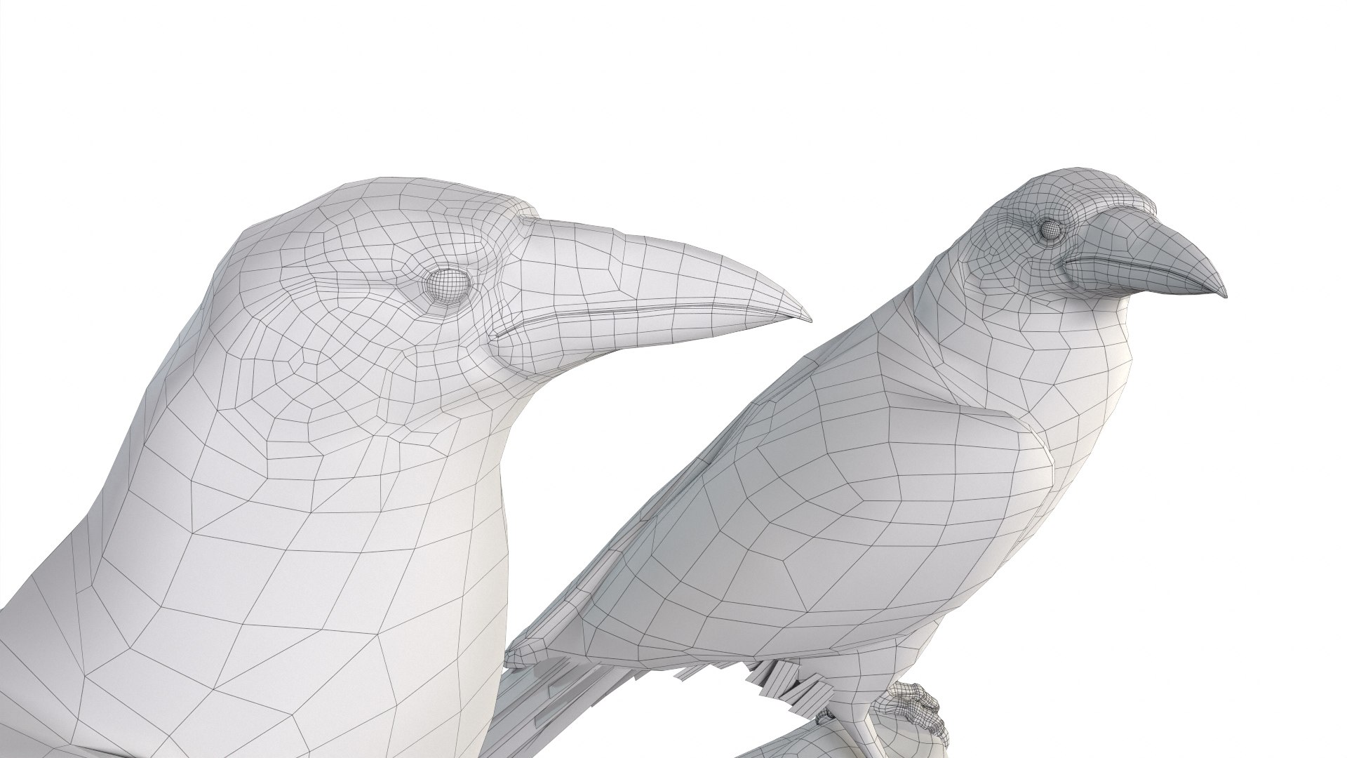 Raven Collection 3D model - TurboSquid 1834421