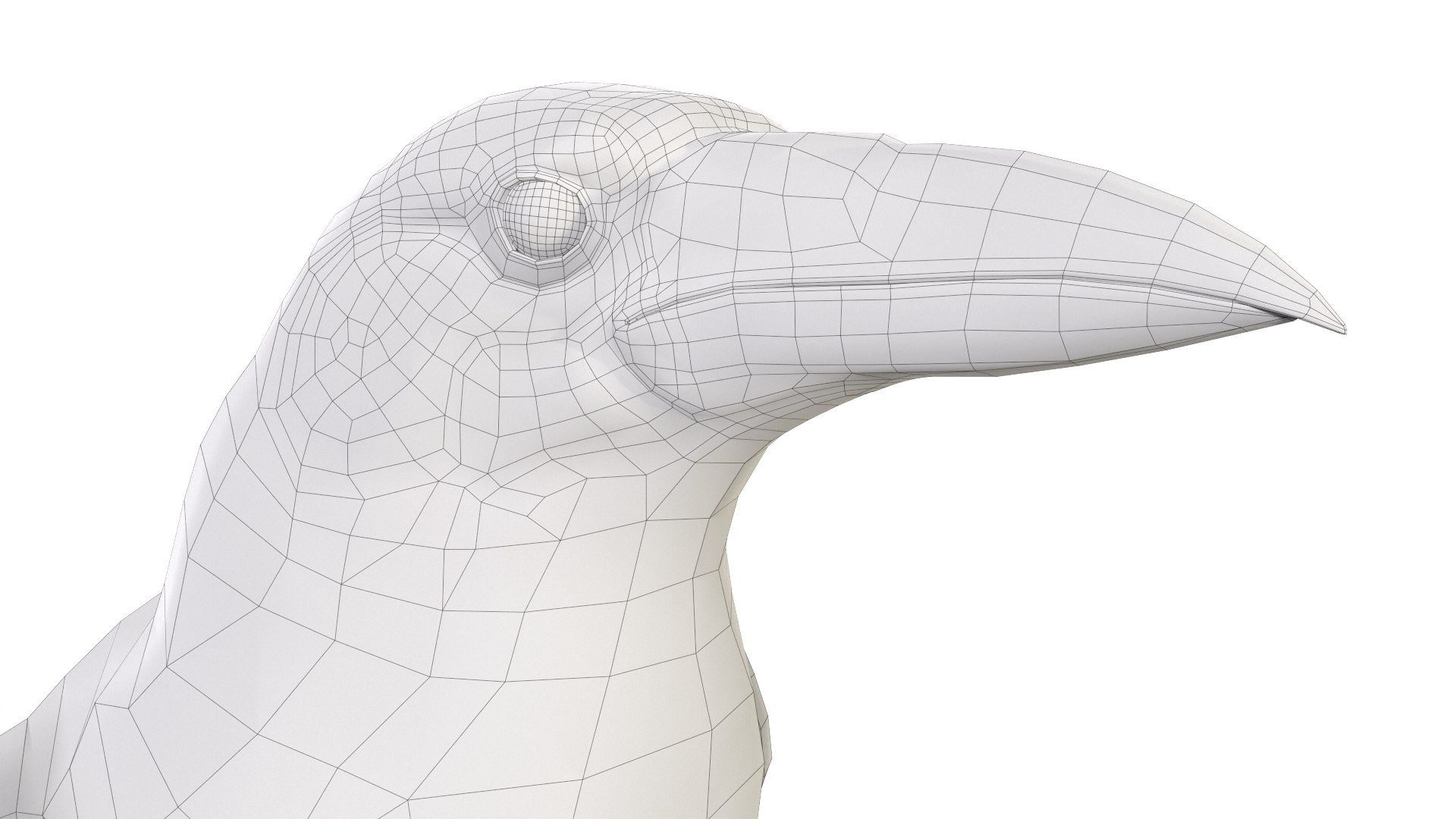 Raven Collection 3D model - TurboSquid 1834421