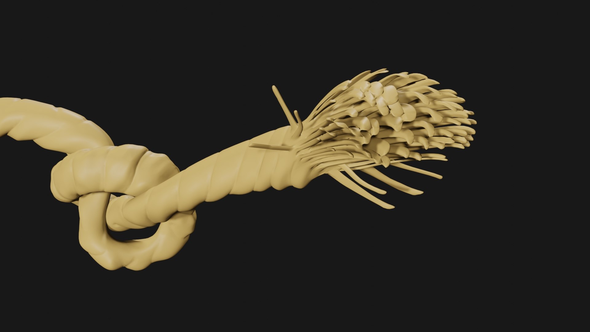 3D Rope Knot Model - TurboSquid 1826416