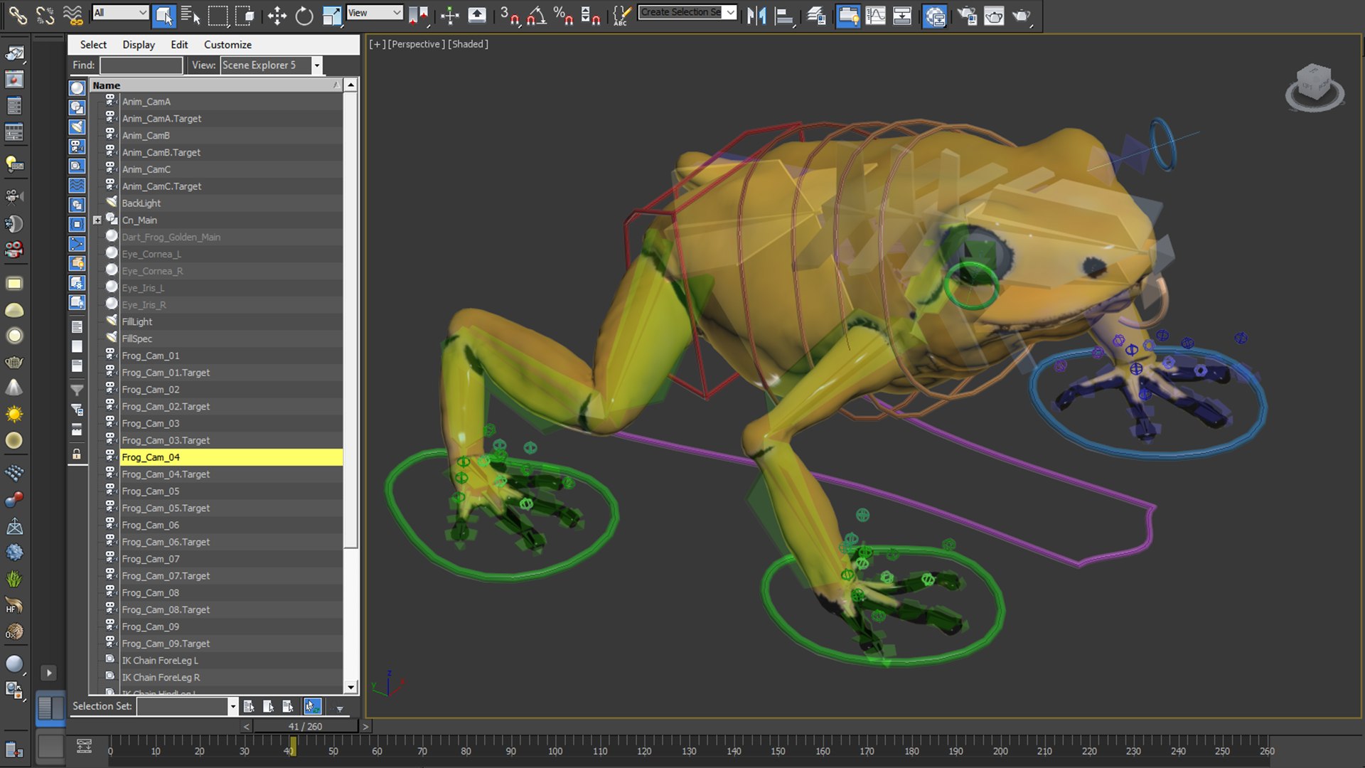 3D Golden Poison Dart Frog Animated Model - TurboSquid 2142812