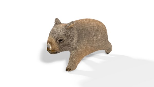 Wombat 3D - TurboSquid 1741318