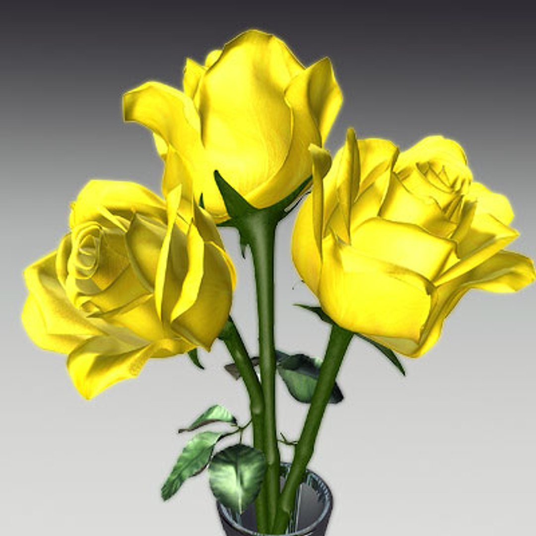 rose flowers 3d model
