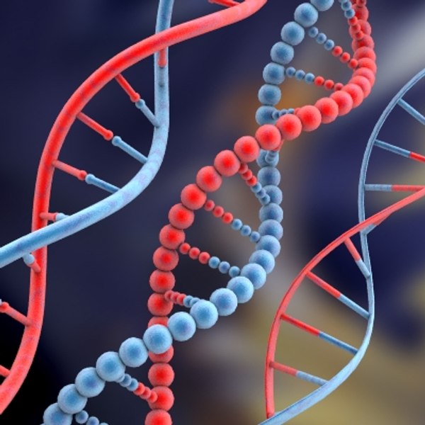 3d dna strands