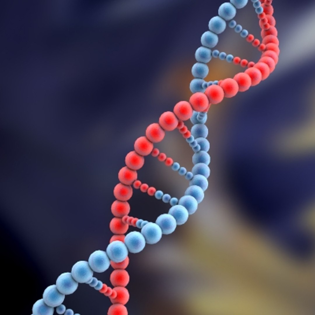 Set Dna 3d Model