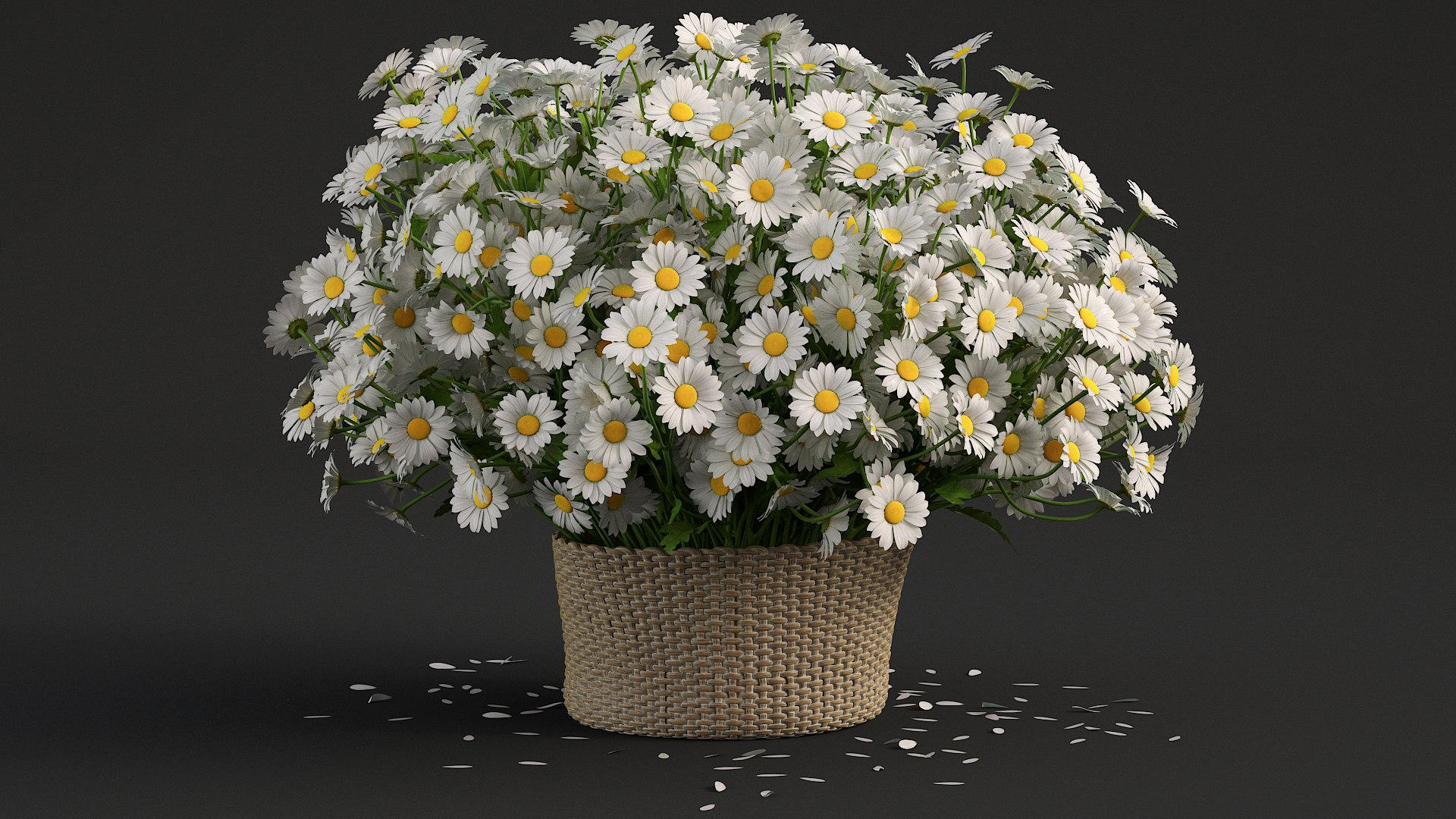 3D Chamomile Model - TurboSquid 1602336
