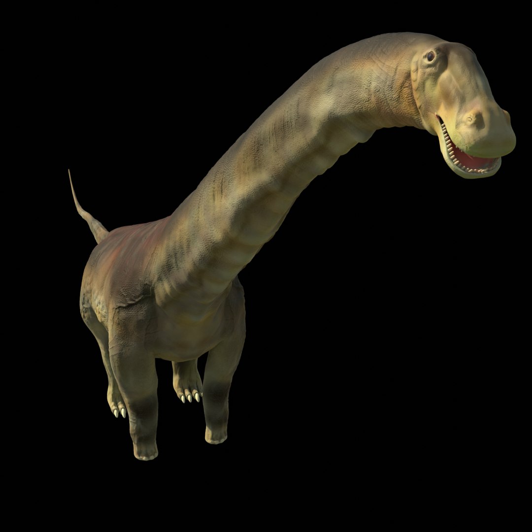 Argentinosaurus 3D Model - TurboSquid 1897971