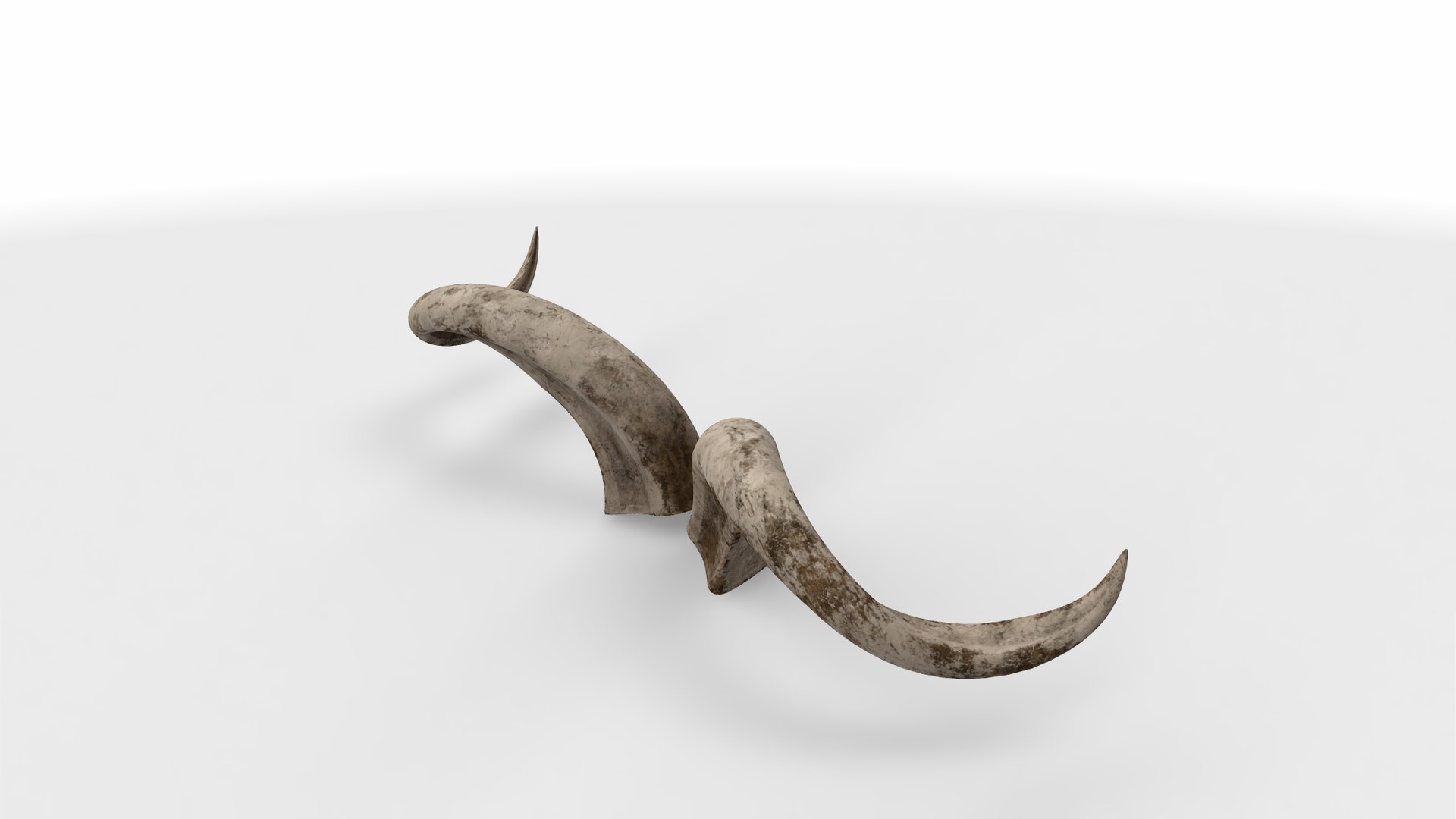 Rolled Horns 01 3D Model - TurboSquid 2307135