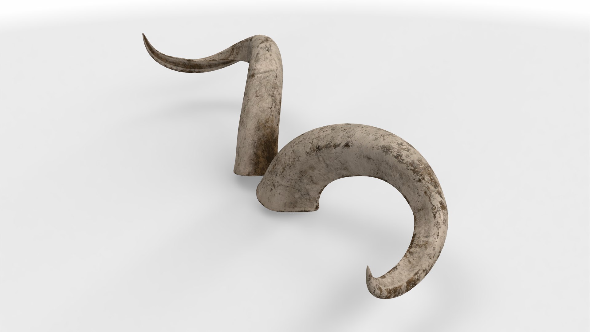 Rolled Horns 01 3D Model - TurboSquid 2307135