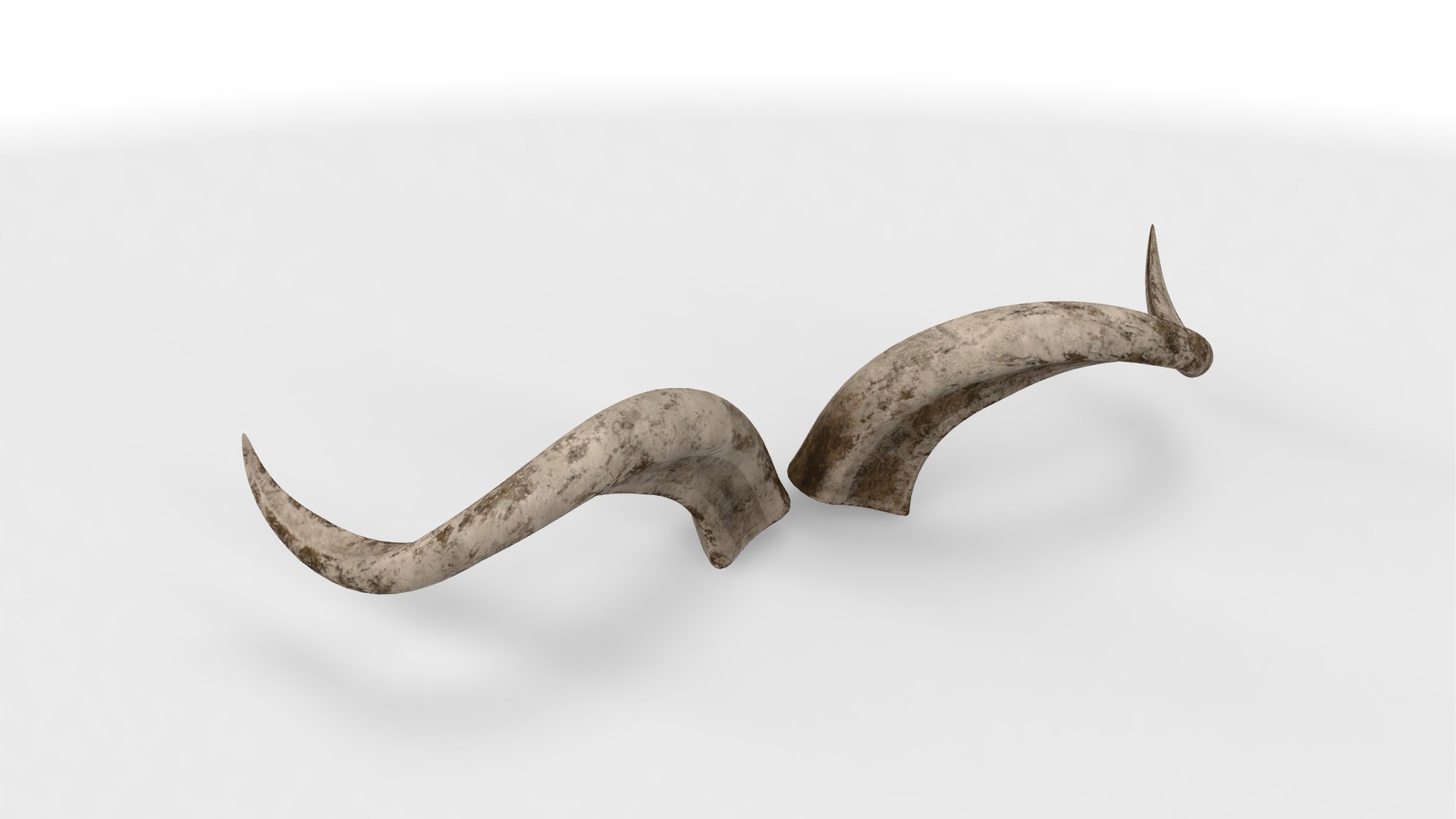 Rolled Horns 01 3D Model - TurboSquid 2307135