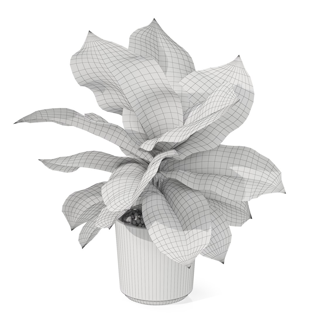 3D Plants collection 1038 model - TurboSquid 2180475