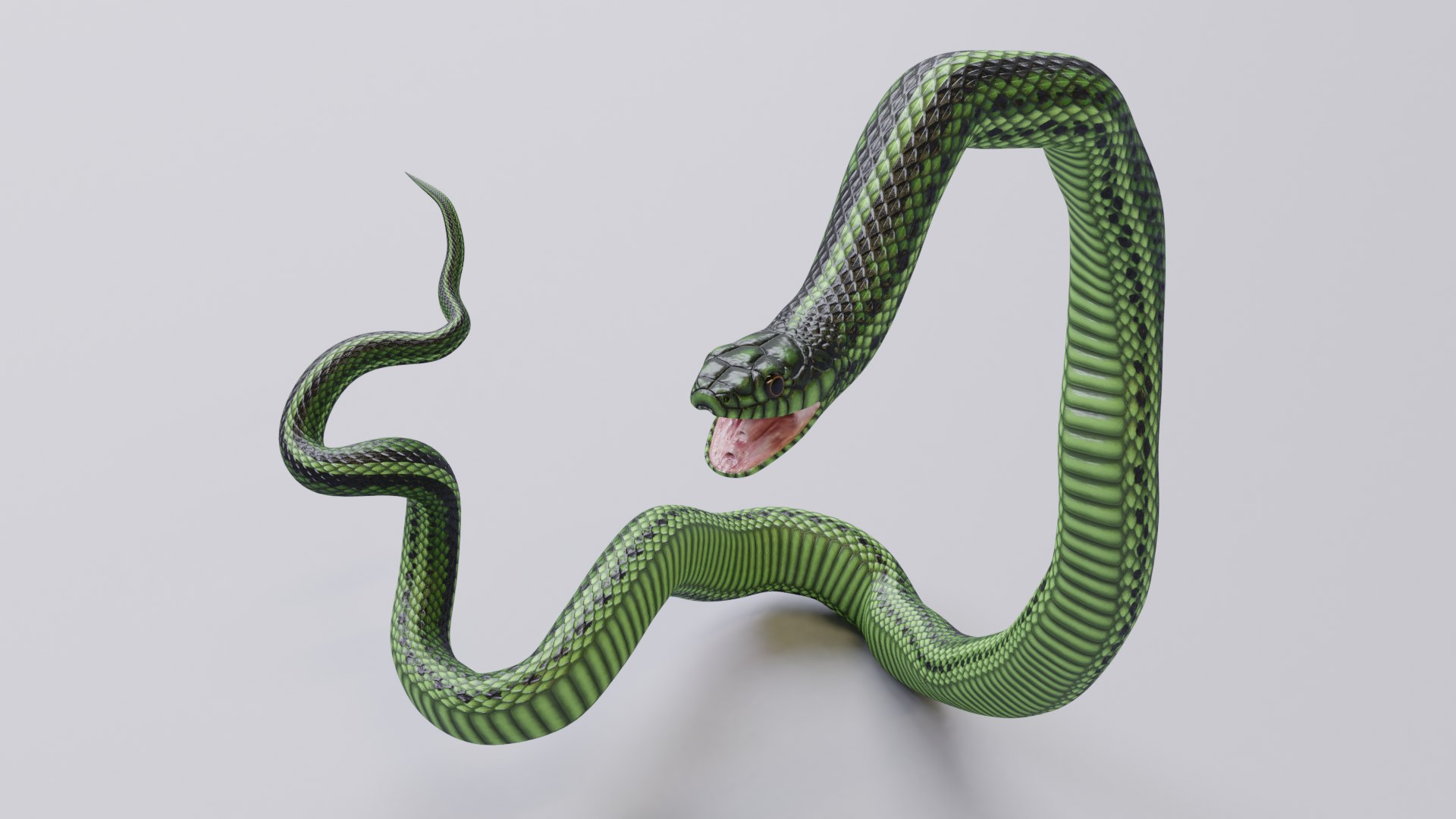 Green Snake - Rigged Model - TurboSquid 1774465