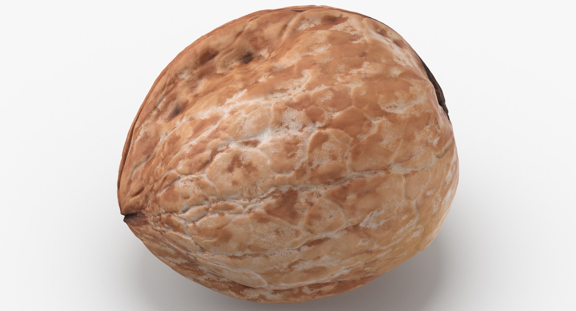 Walnuts 01 3D model - TurboSquid 1463763