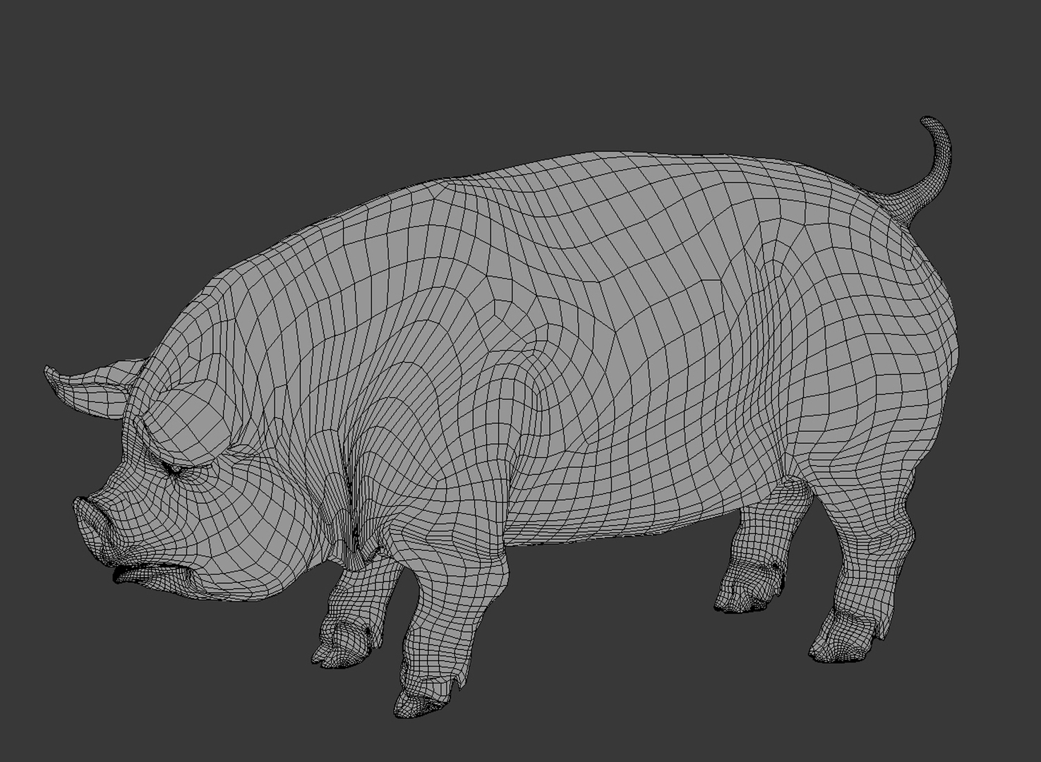 3D Pig model - TurboSquid 1820621