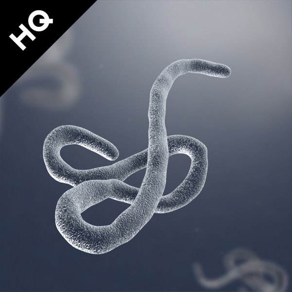 Ebola Virus 3D Models for Download | TurboSquid