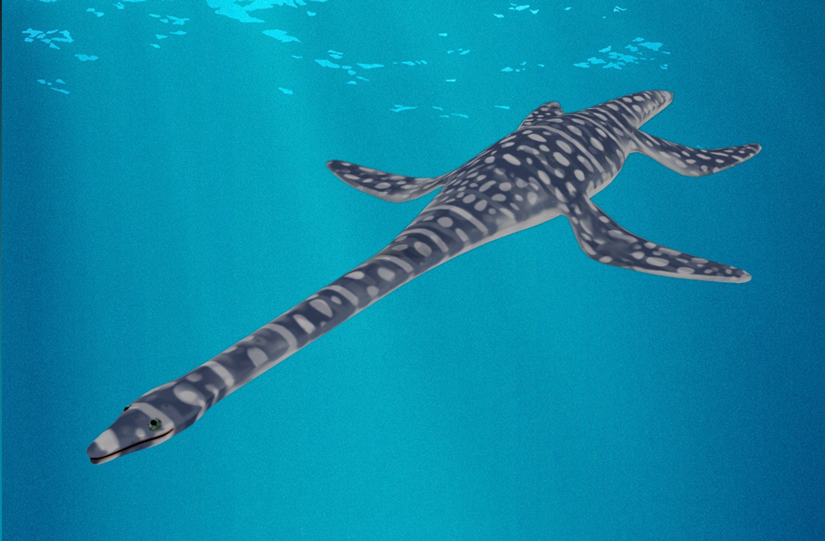 3D Plesiosaurus Plesiosaur - TurboSquid 1416026