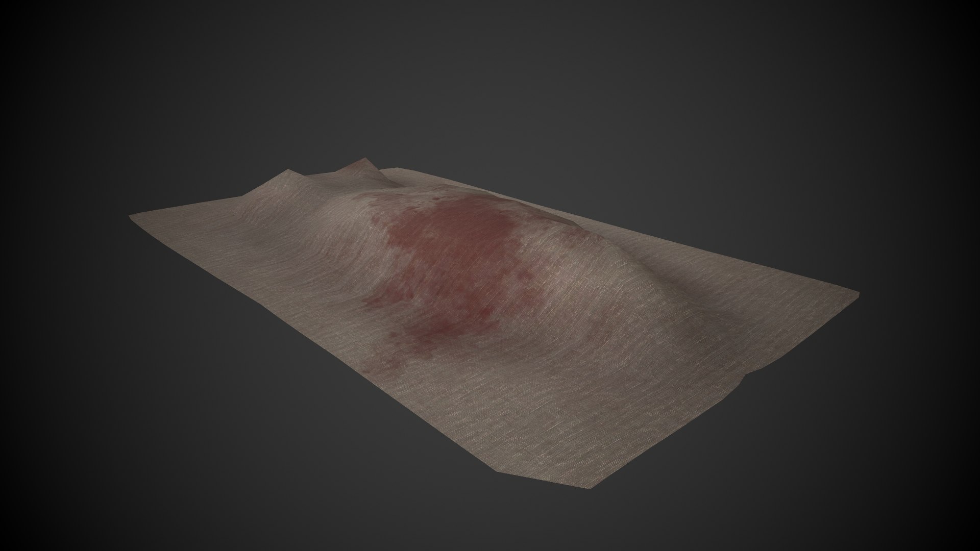 Body Sheet 3D Model - TurboSquid 1656305