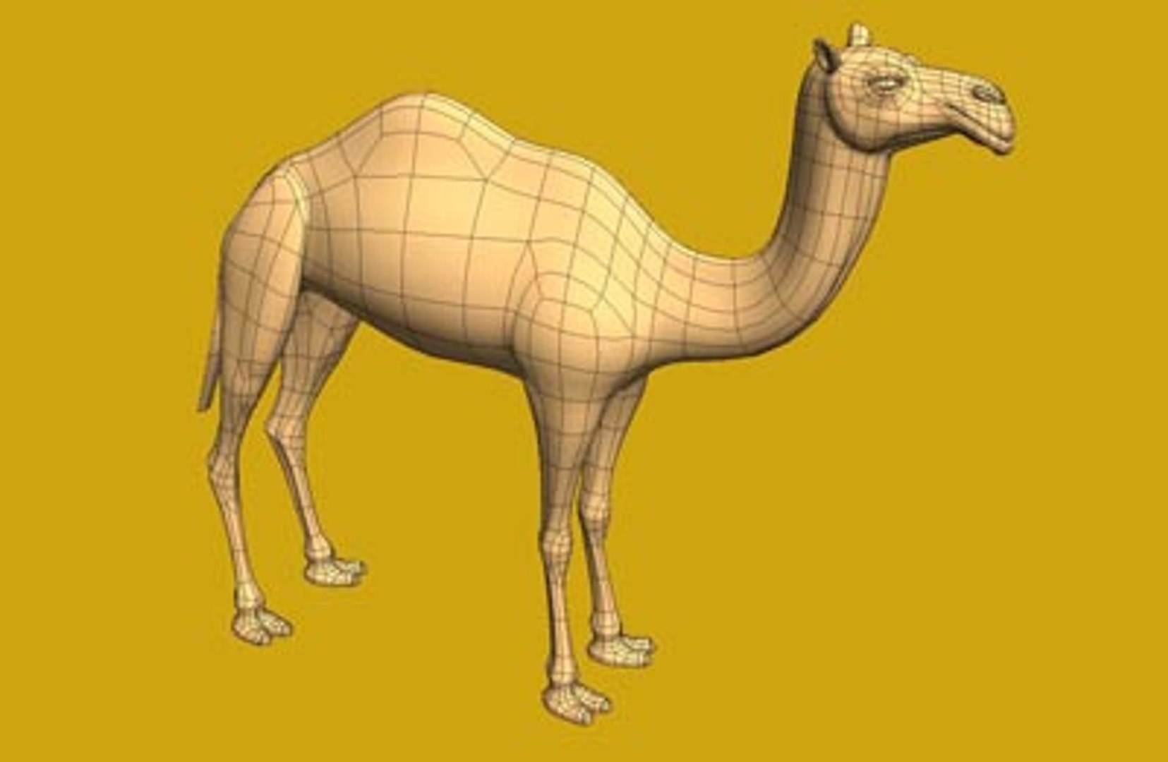3d Camel Camel-v2 Model