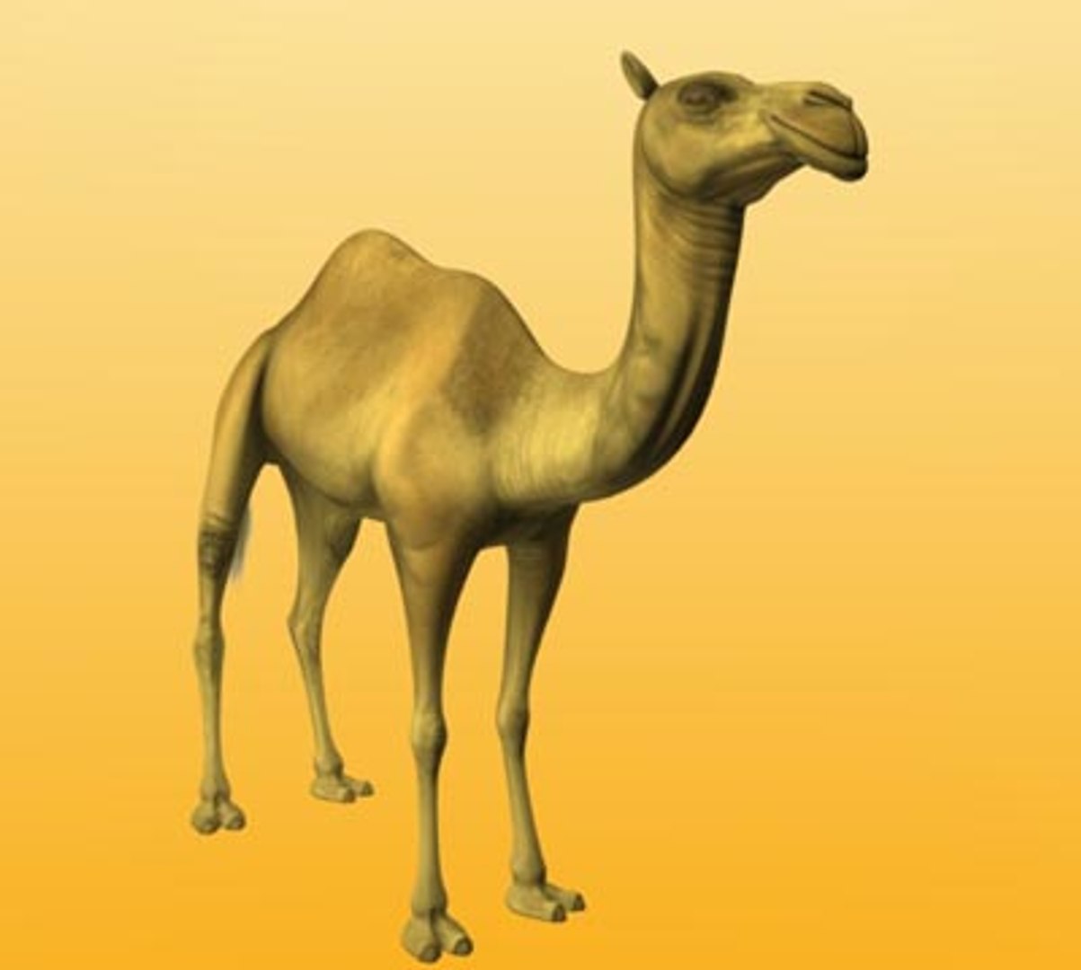 3d Camel Camel-v2 Model