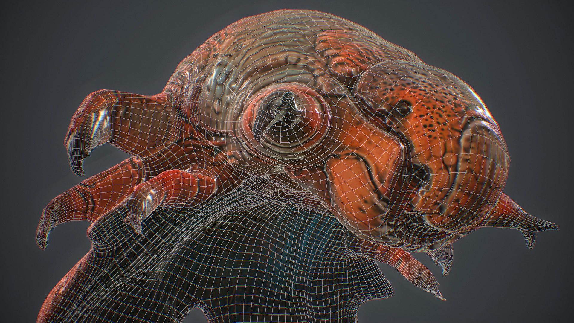 Microscopic Bug Tardigrade 3D - TurboSquid 2077393