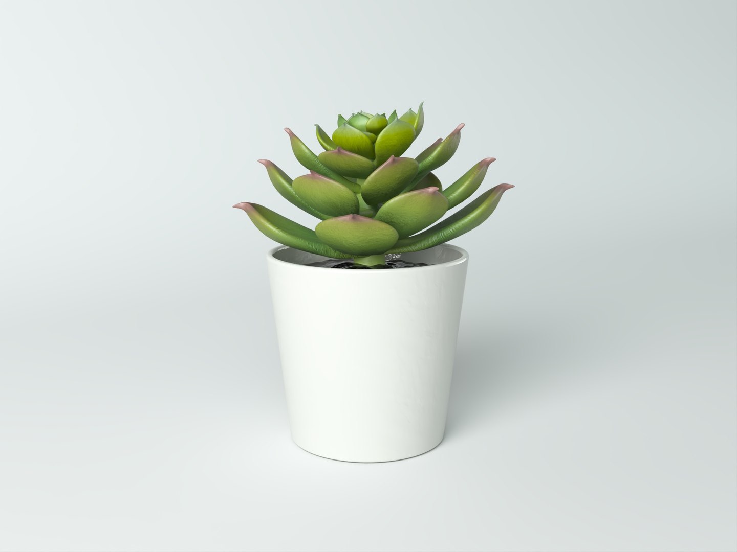 Succulent In Pot Low-poly 3D Model Model - TurboSquid 2329380