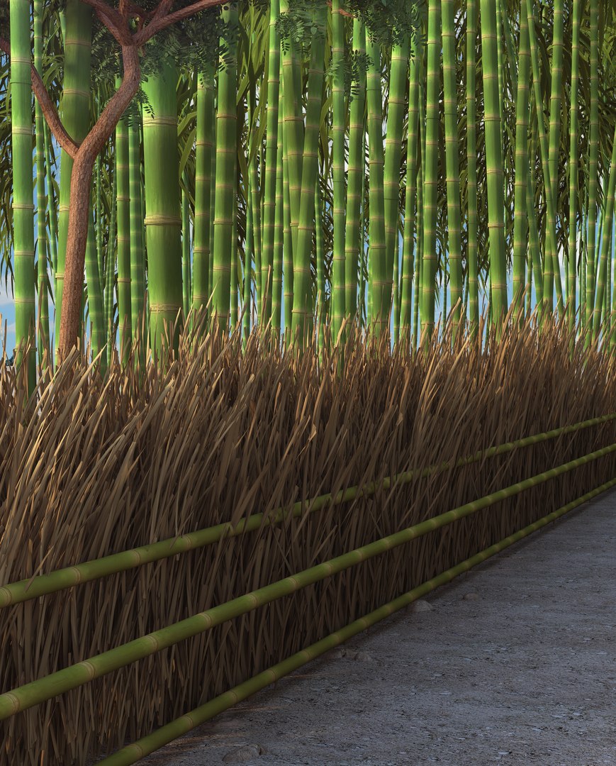 3D Bamboo Forest Natural Japan Model - TurboSquid 1341680