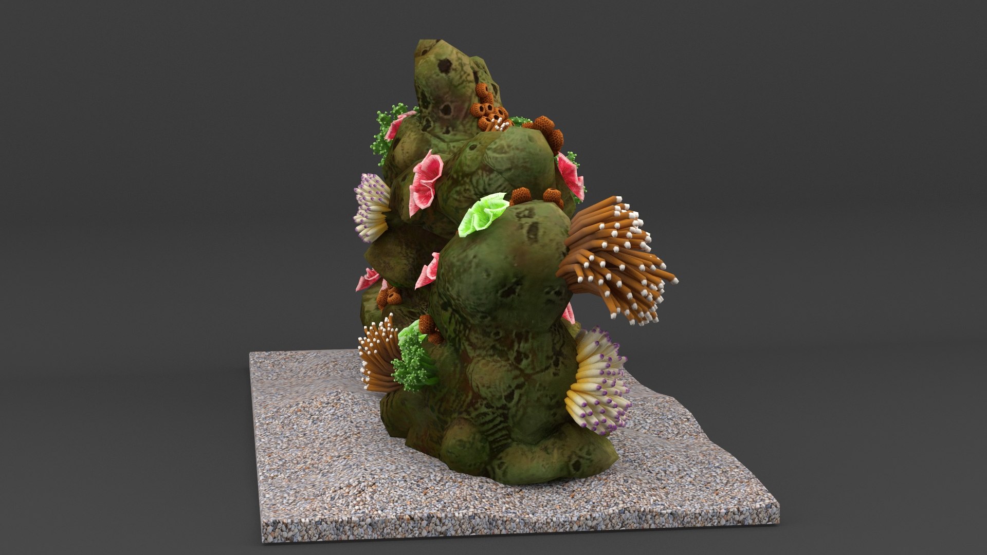 - Coral Reef Rigged 3d Model