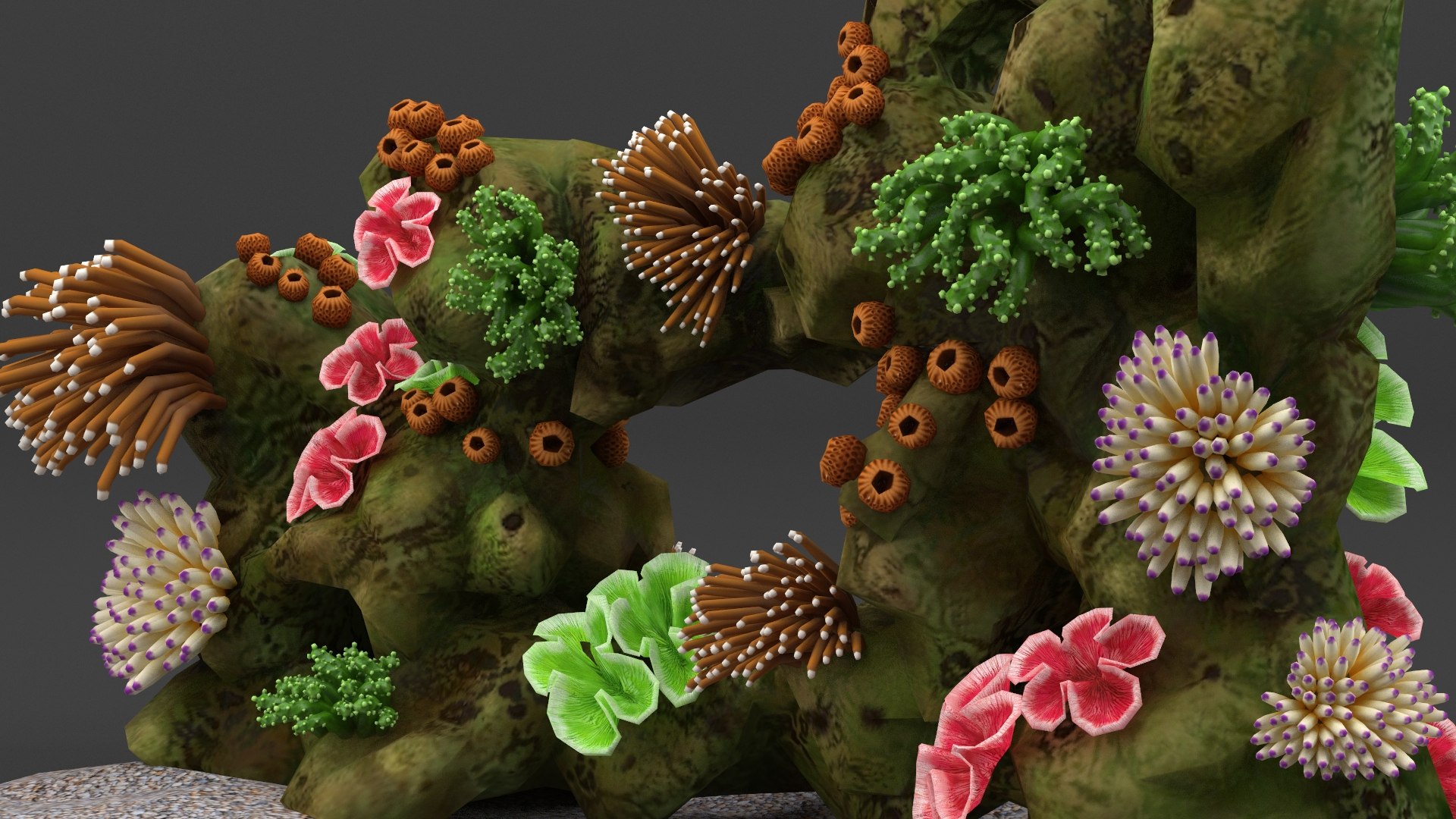 - Coral Reef Rigged 3d Model