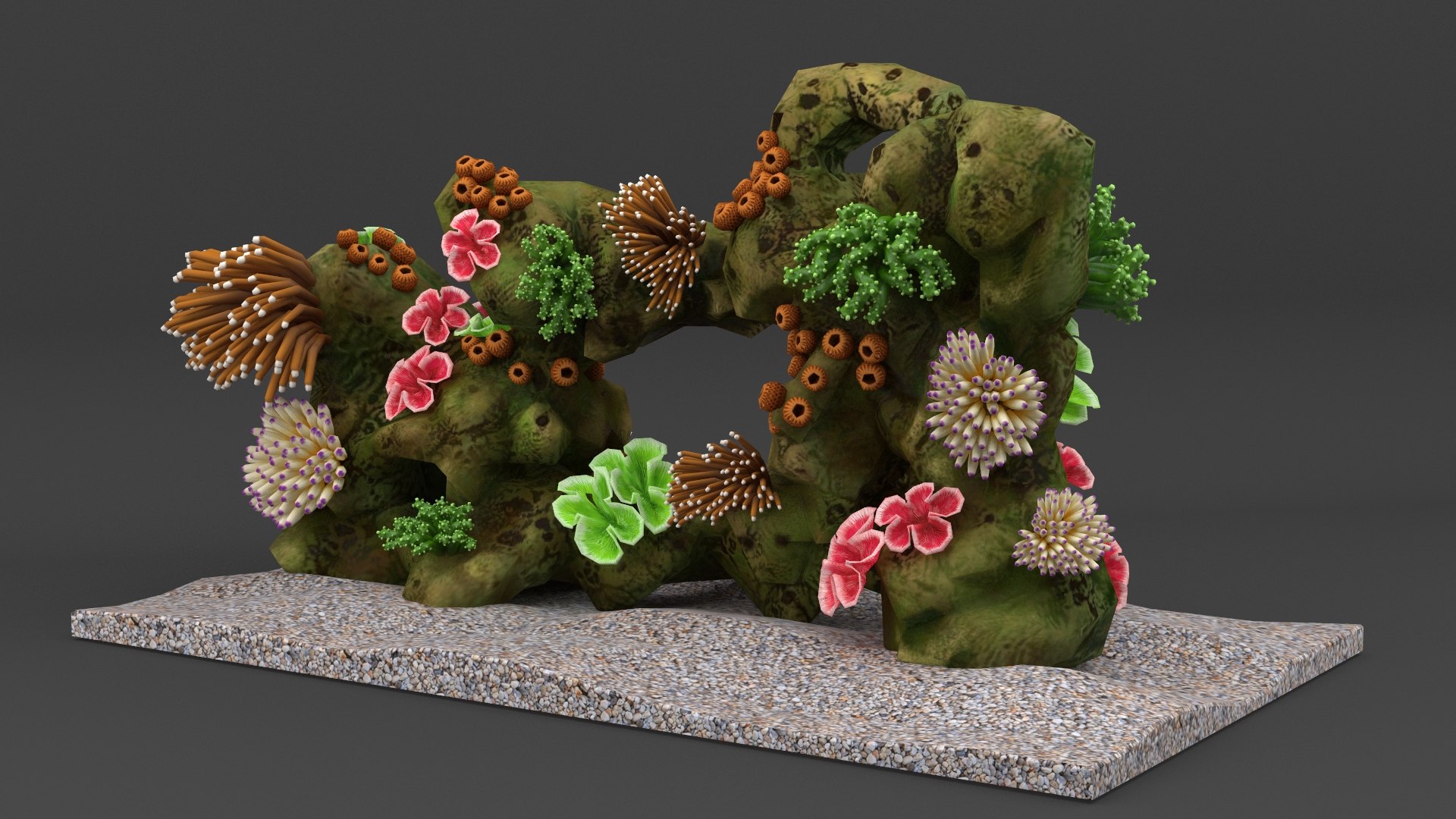 - Coral Reef Rigged 3d Model