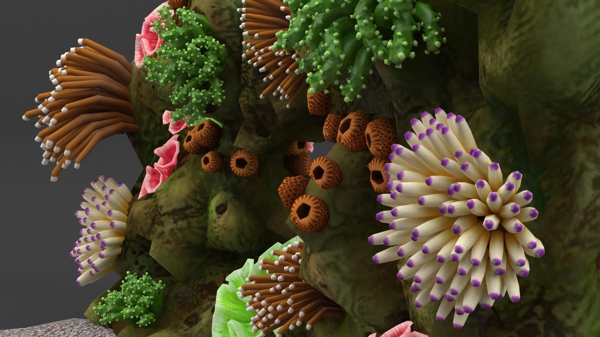 - Coral Reef Rigged 3d Model