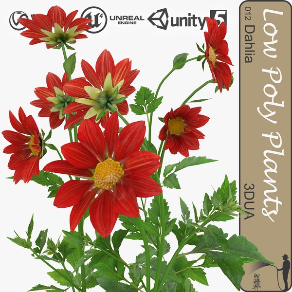 plant 006 zinnia 3d model