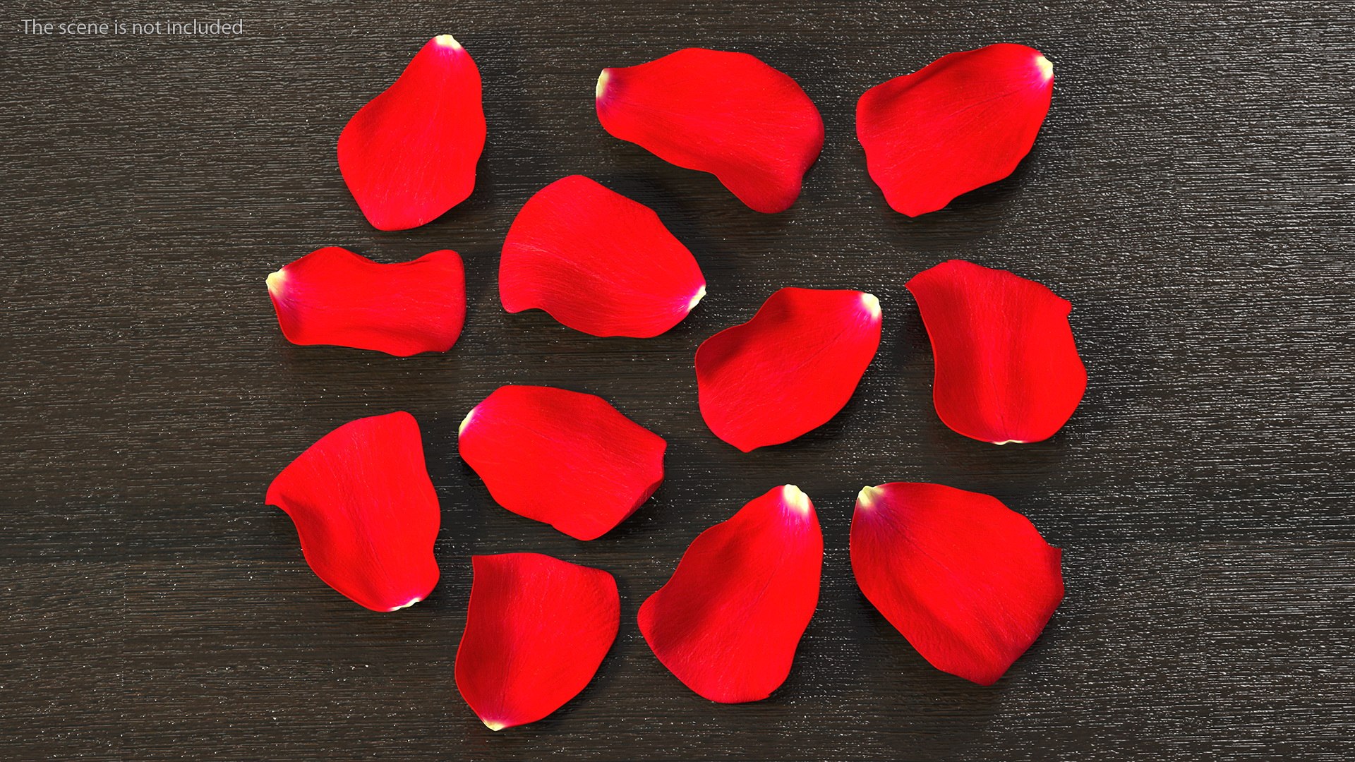Rose Petals Red 3D Model - TurboSquid 1851849