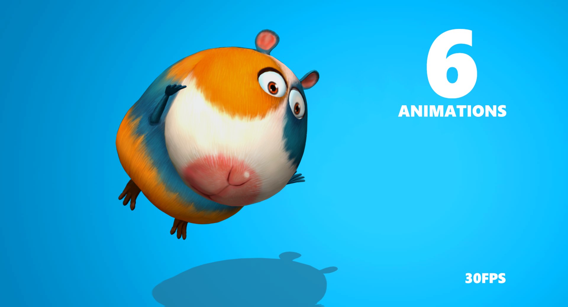 Hamster Animations 3D - TurboSquid 1292303
