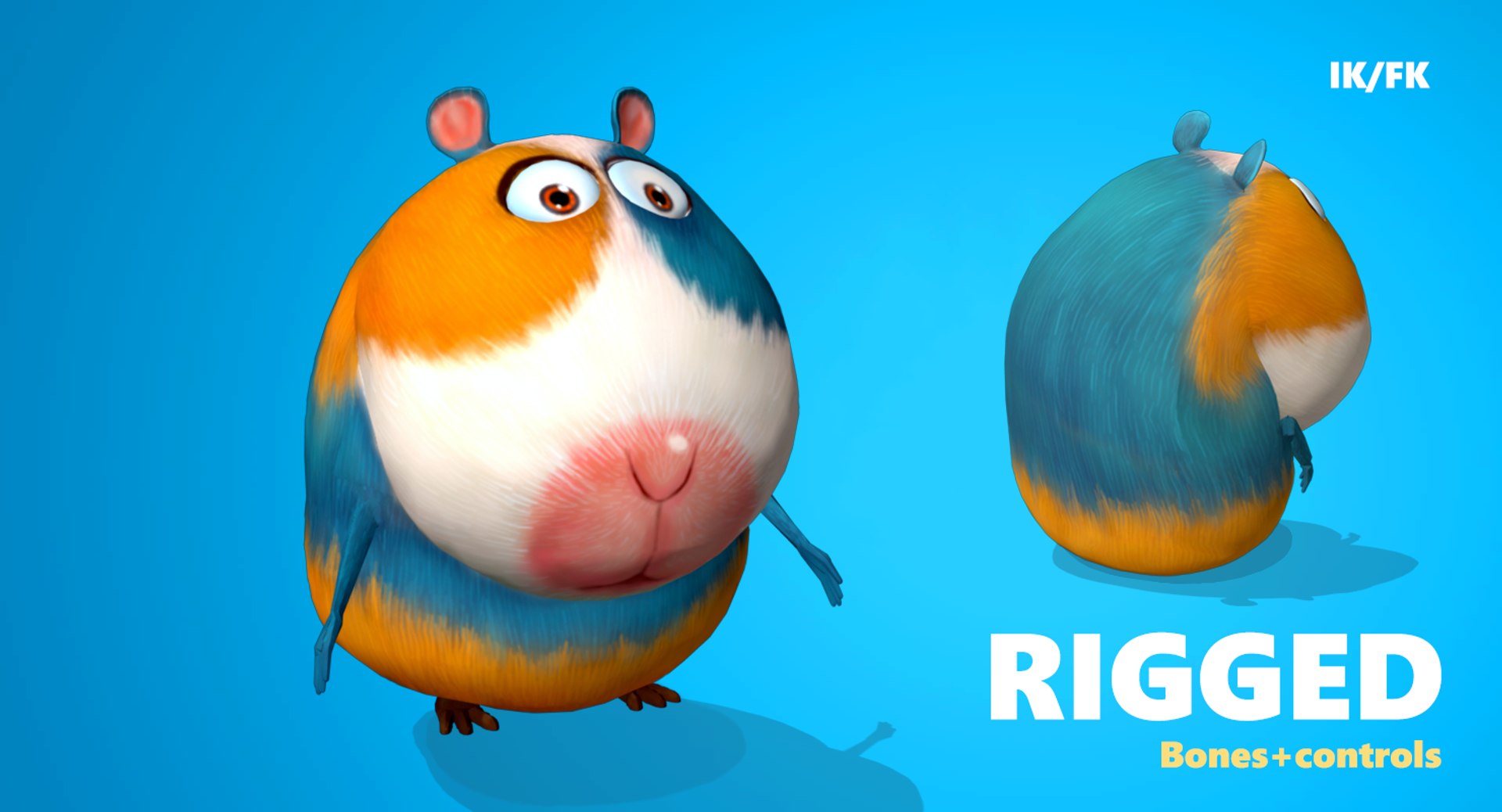 Hamster Animations 3D - TurboSquid 1292303