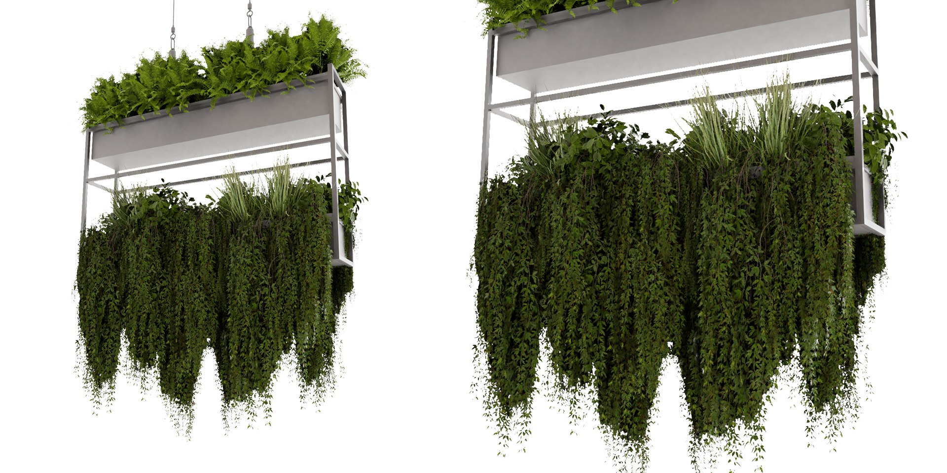 3D Model Collection Plant Vol 483 - Hanging - Bush - Ampelous - Blender ...