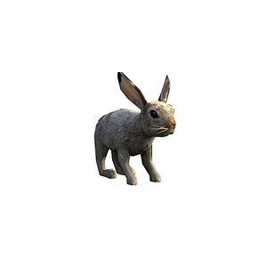 Rabbit Blender Models for Download | TurboSquid