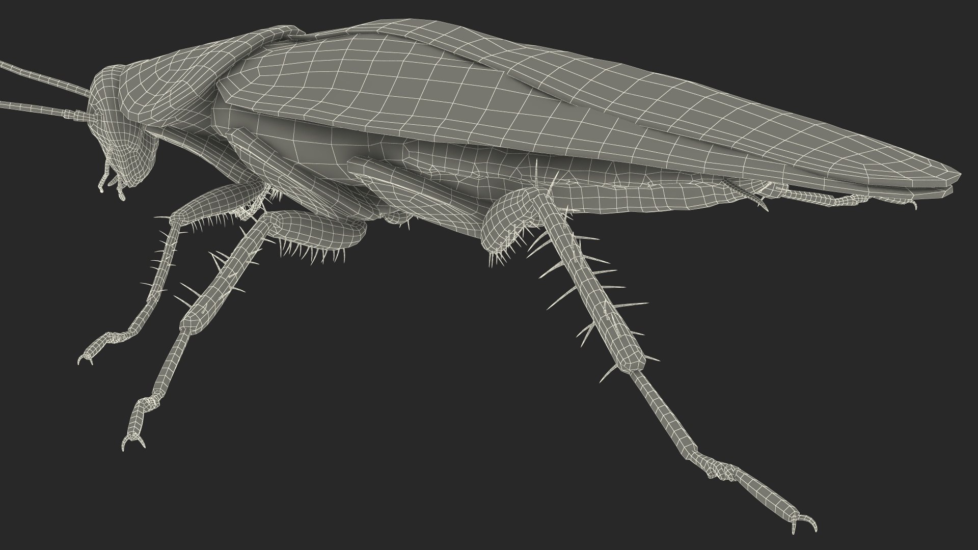Flying Red Cockroach 3D Model - TurboSquid 2073189