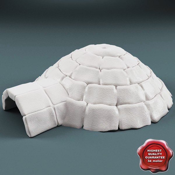 3d igloo modelled
