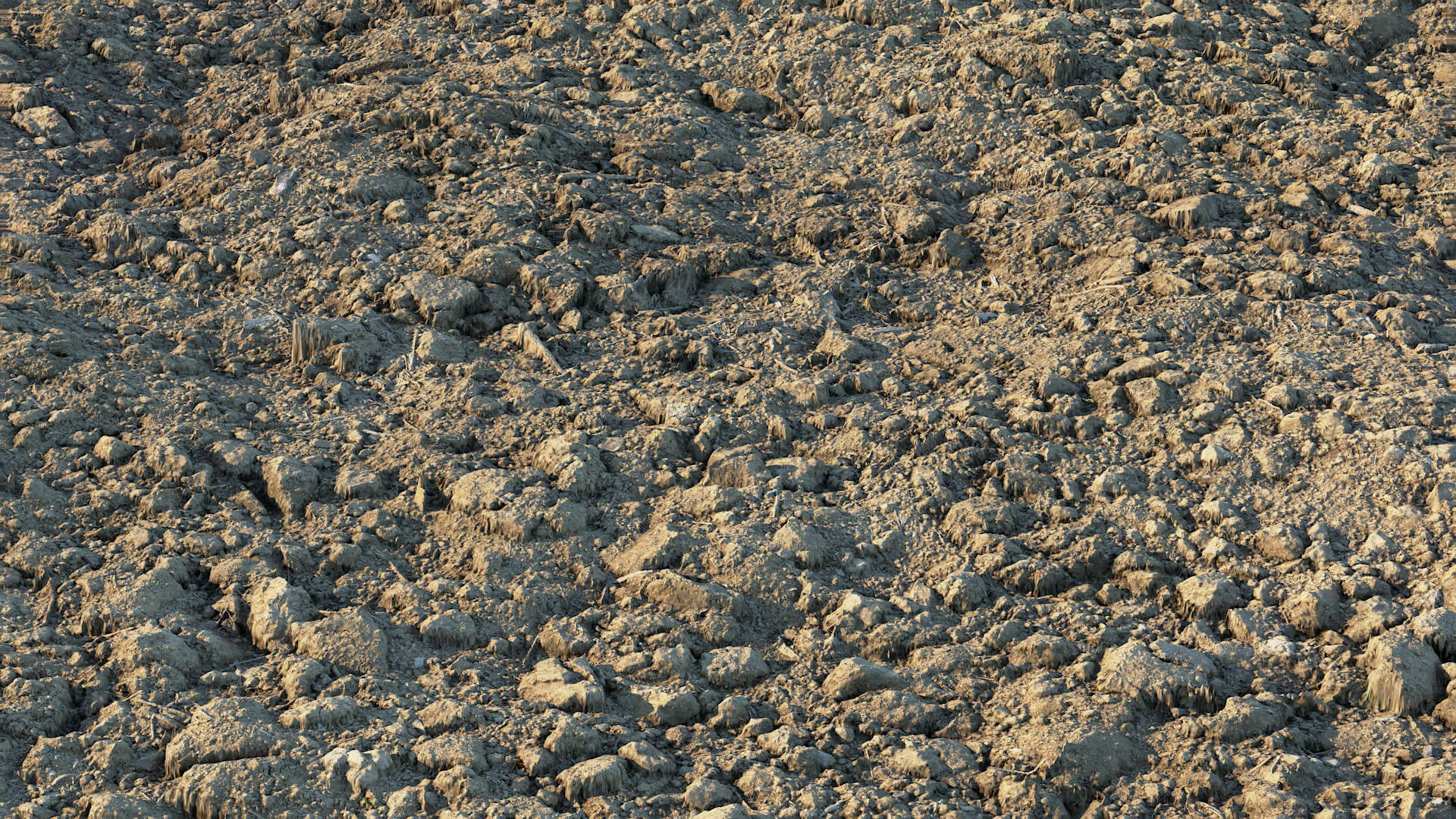 3D Earth Soil - TurboSquid 1602252