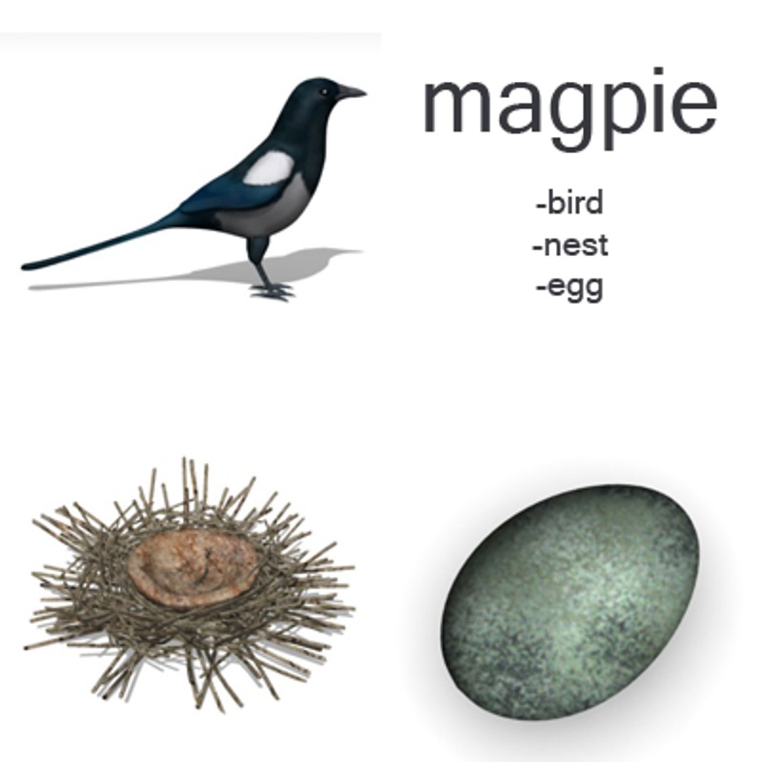 Max Magpie Set